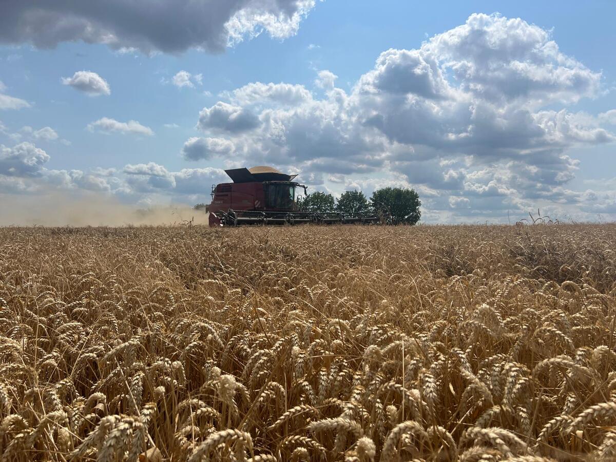 S Axial-Flow 9250 a MacDon FD241 sme výrazne zvýšili výnos | AGRI CS ...