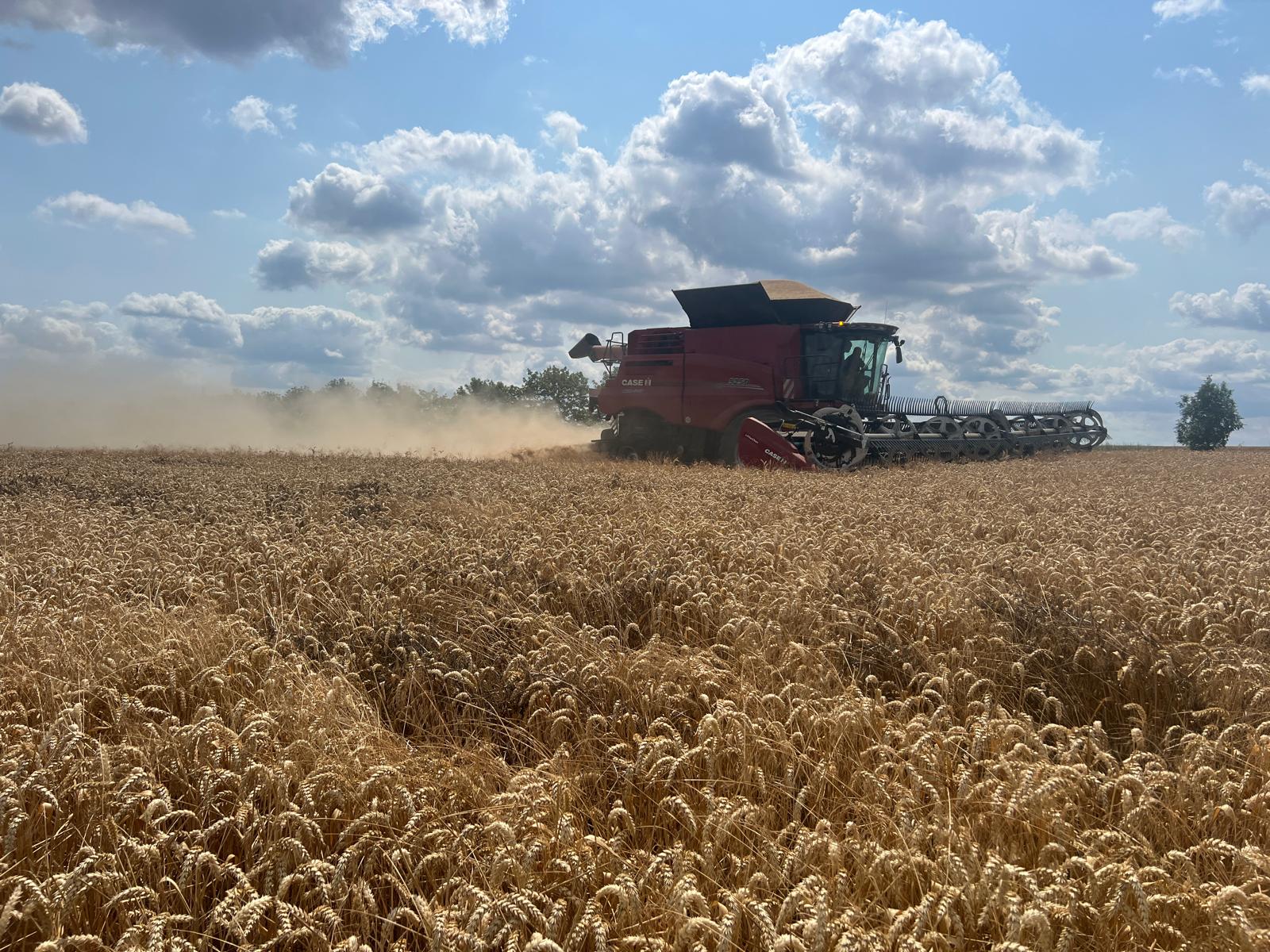 S Axial-Flow 9250 a MacDon FD241 sme výrazne zvýšili výnos | AGRI CS ...
